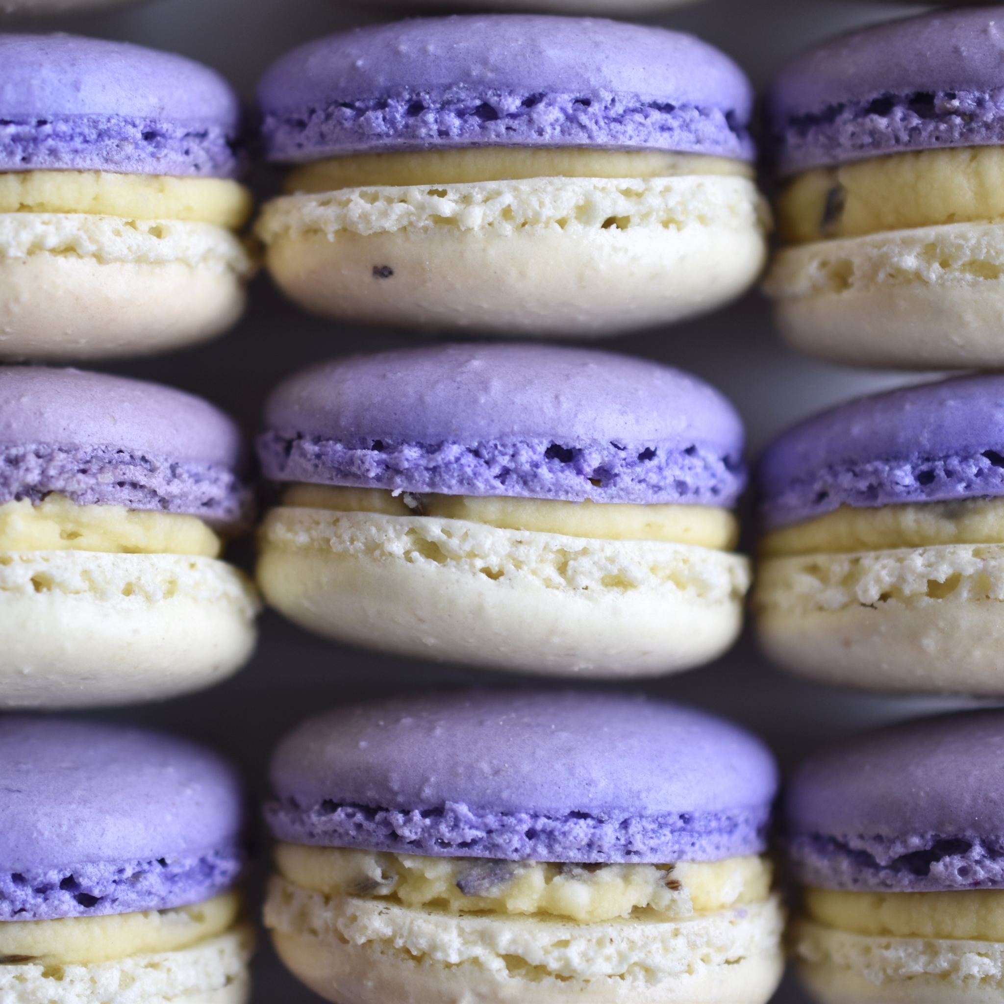 FLAVOR COLLECTIONS - Le Bon Macaron