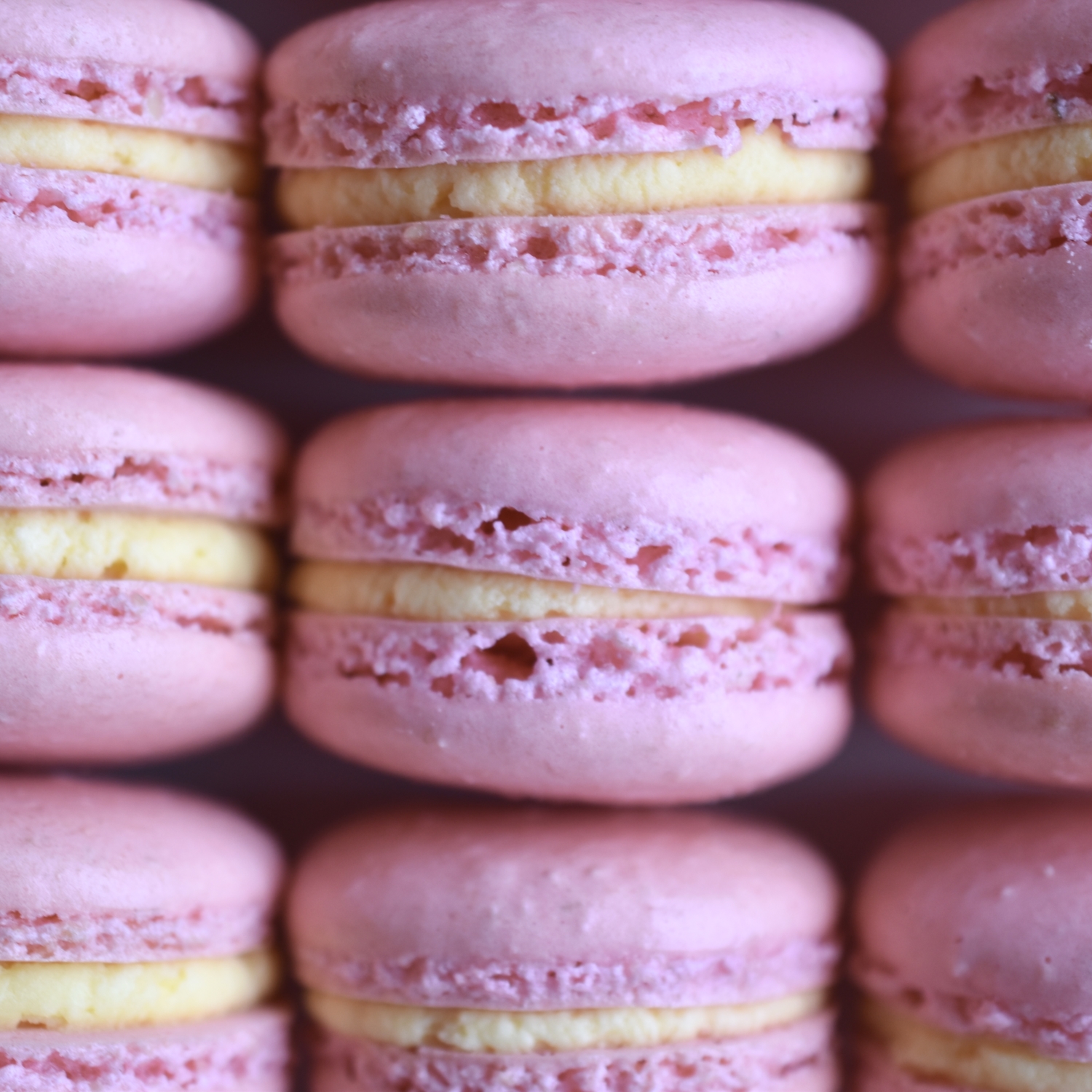 FLAVOR COLLECTIONS - Le Bon Macaron