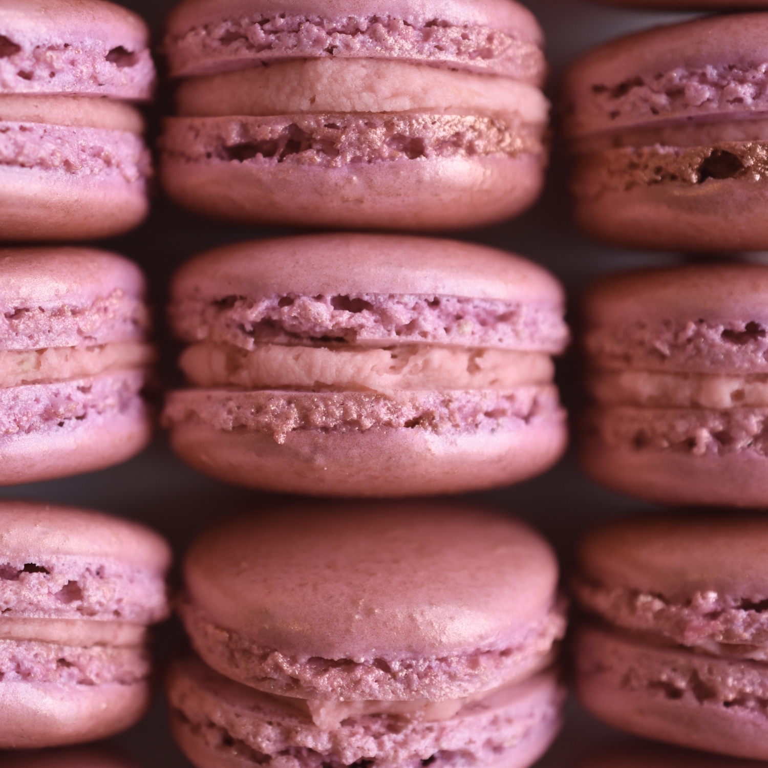 FLAVOR COLLECTIONS - Le Bon Macaron