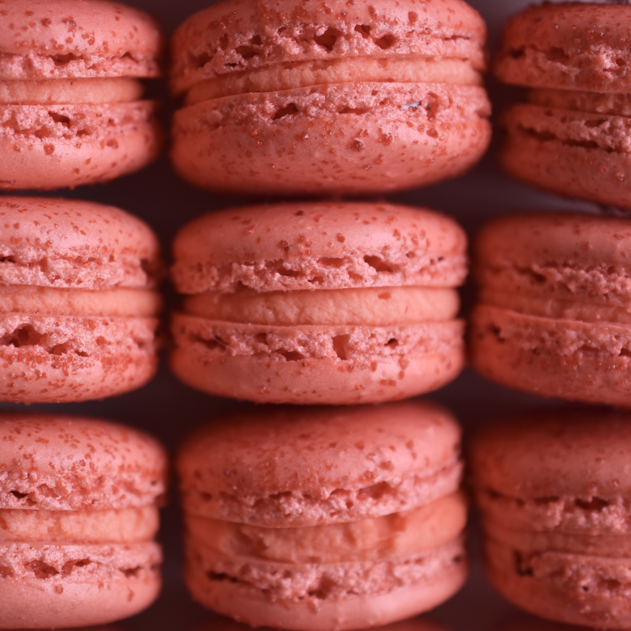 FLAVOR COLLECTIONS - Le Bon Macaron