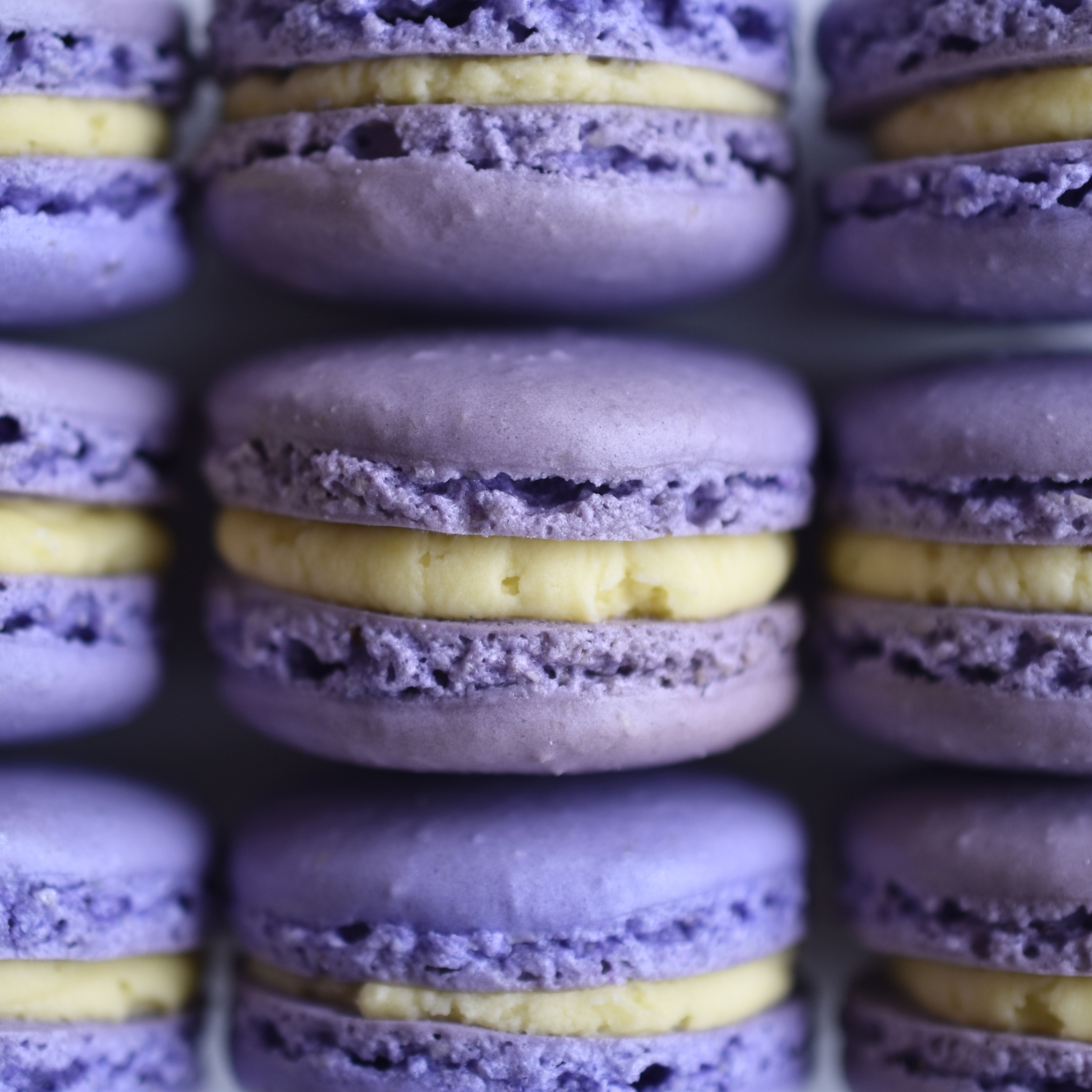 FLAVOR COLLECTIONS - Le Bon Macaron