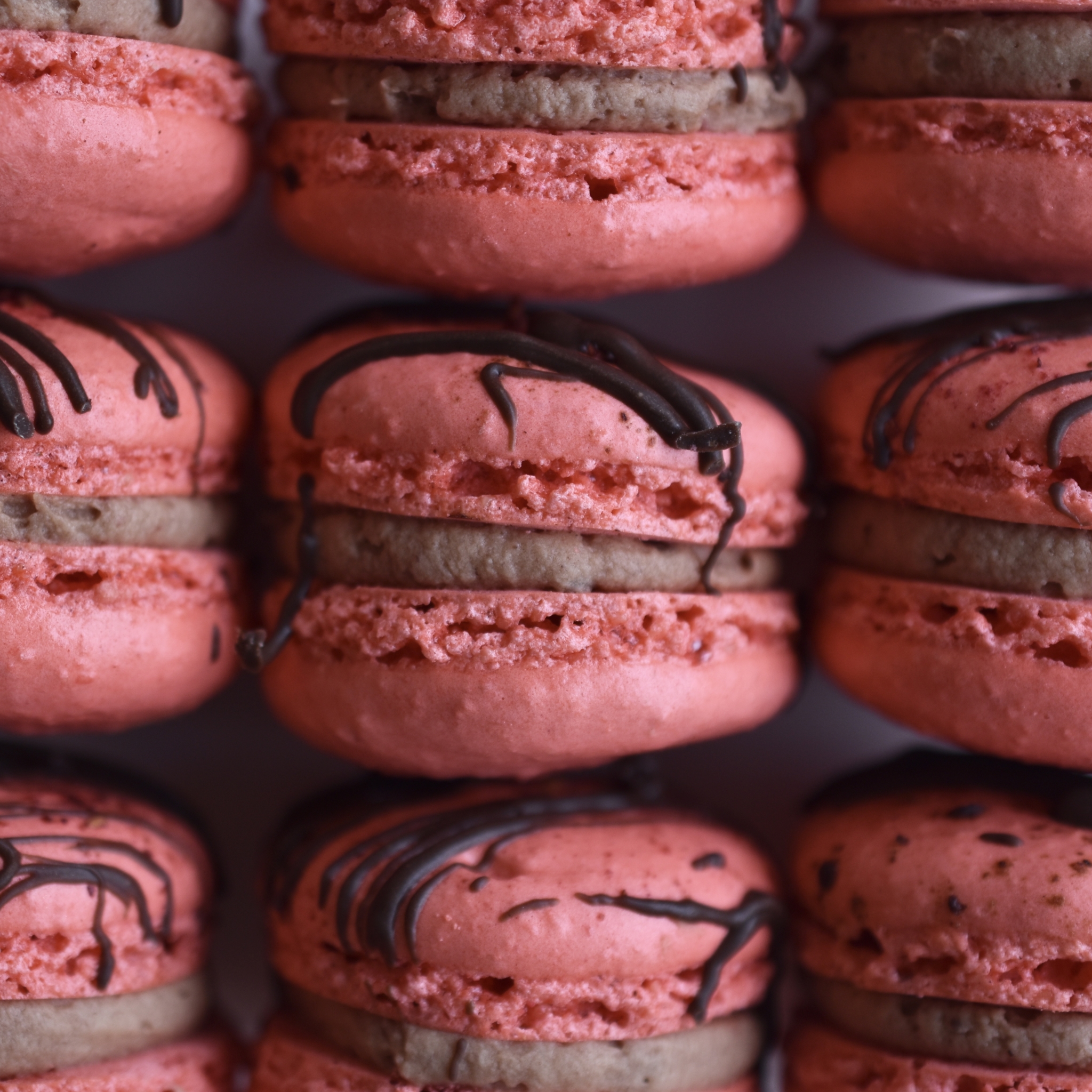 FLAVOR COLLECTIONS - Le Bon Macaron