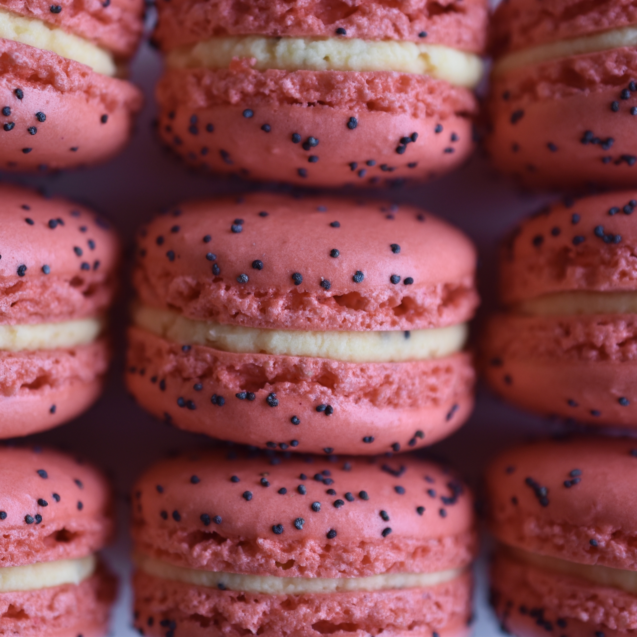 FLAVOR COLLECTIONS - Le Bon Macaron