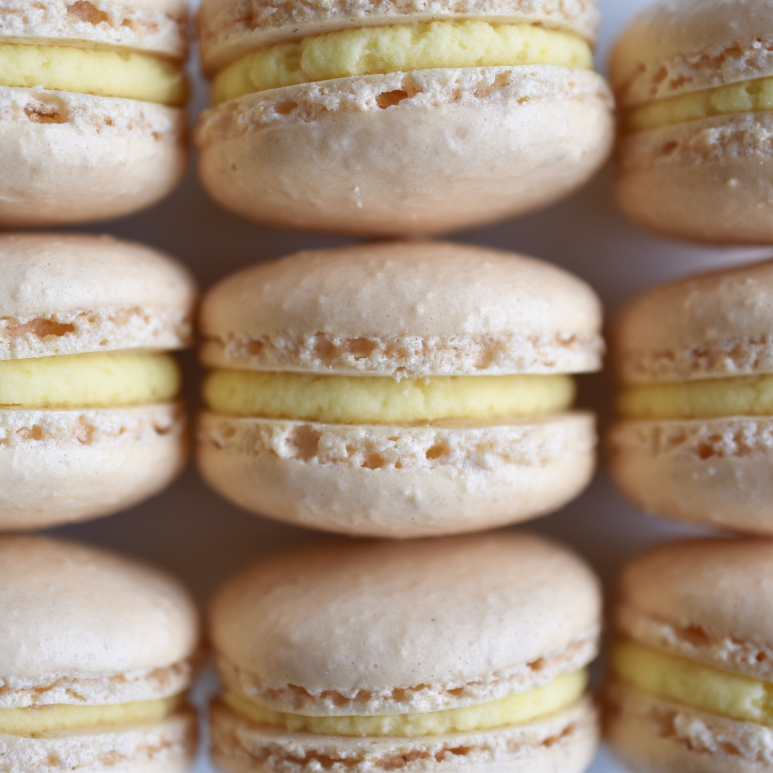 FLAVOR COLLECTIONS - Le Bon Macaron