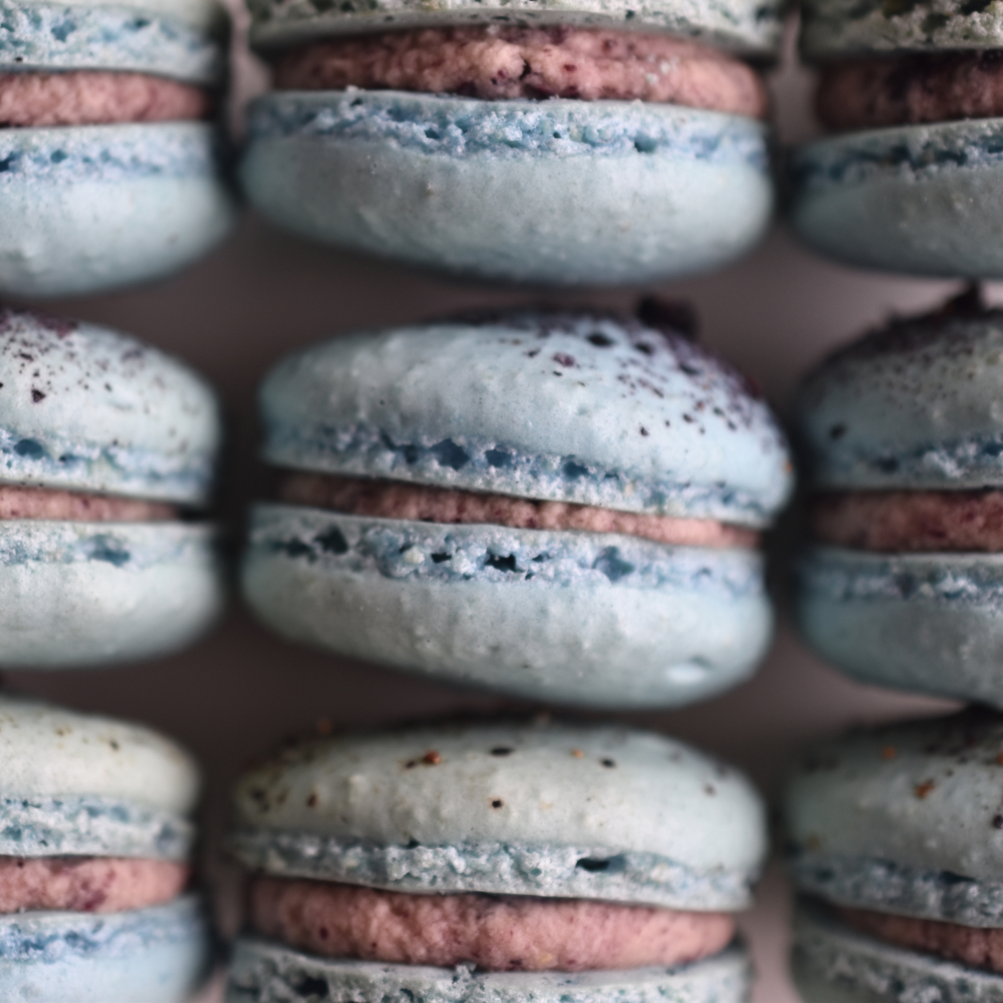 FLAVOR COLLECTIONS - Le Bon Macaron