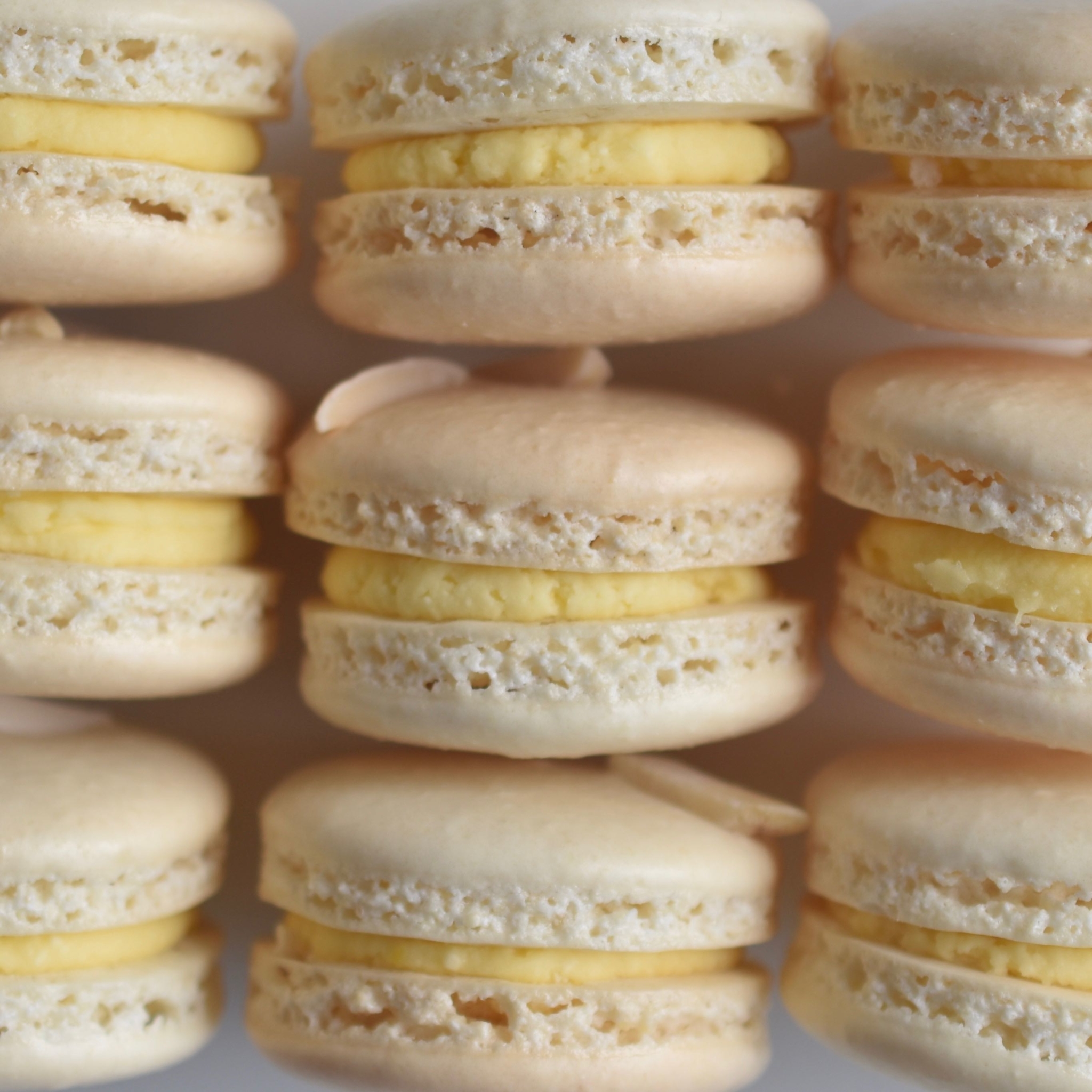 FLAVOR COLLECTIONS - Le Bon Macaron